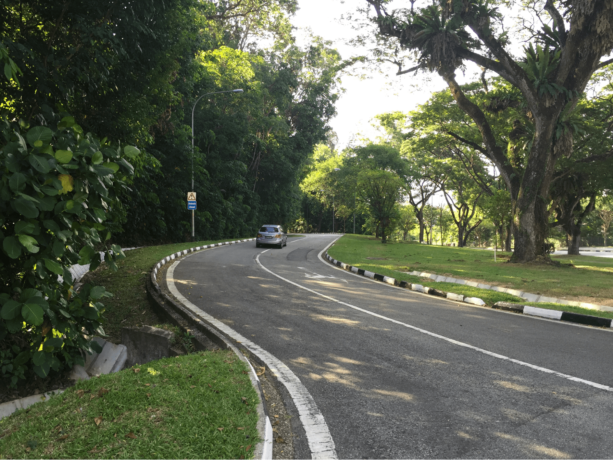 Devil’s Bend: Singapore’s Most Haunted Road