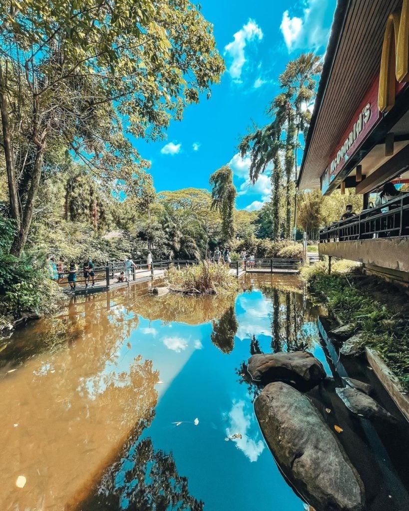 Queensway McDonald’s: The "Prettiest" McD Outlet In A Japanese Garden
