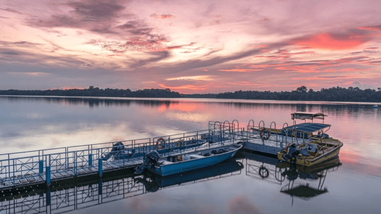 Guide To Upper Seletar Reservoir Park: Things To Do & See