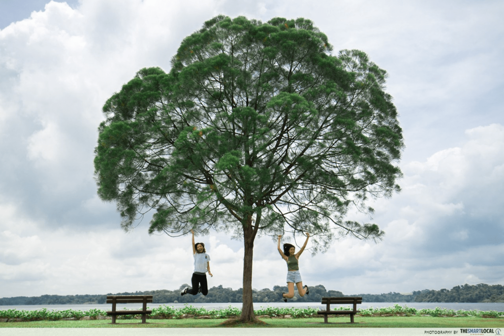 Guide To Upper Seletar Reservoir Park: Things To Do & See