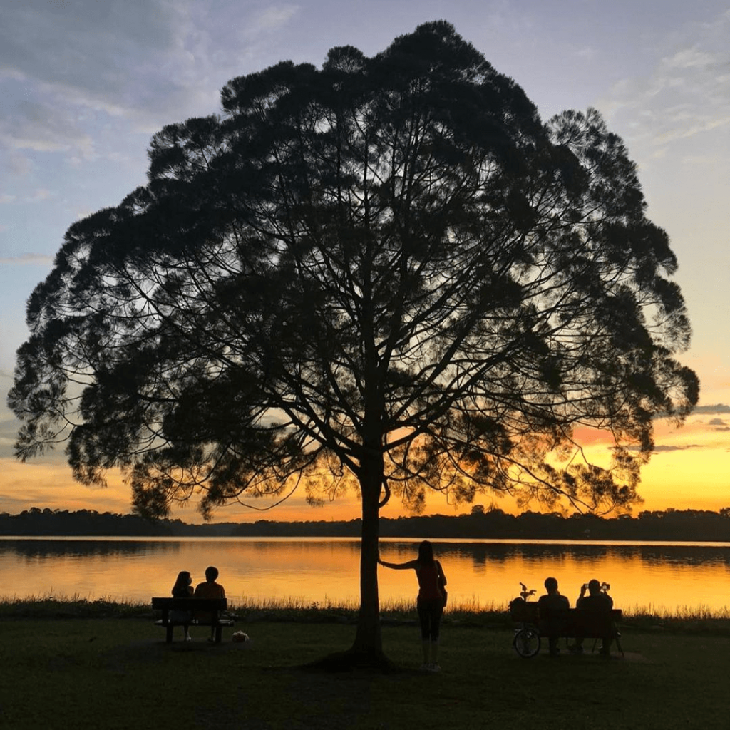 Guide To Upper Seletar Reservoir Park: Things To Do & See