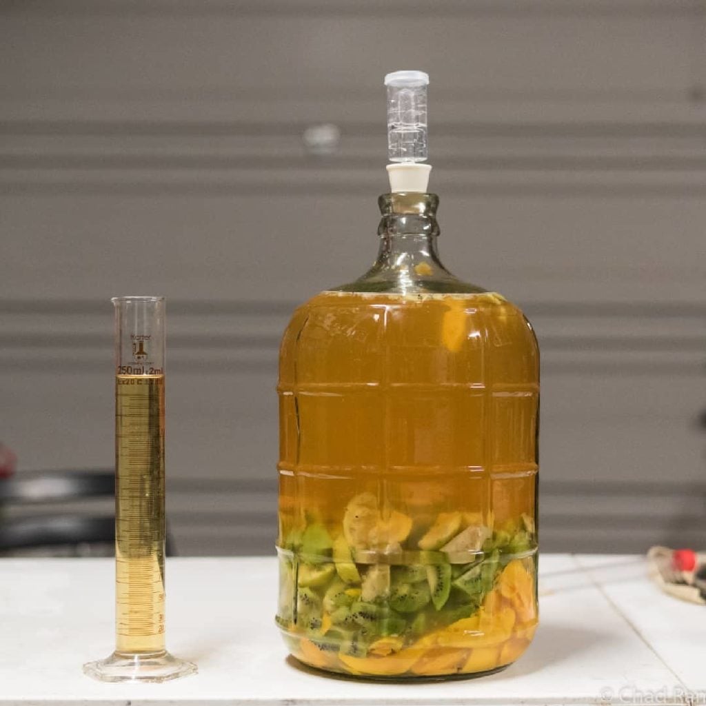 Home Brewing Beer In Singapore: A Guide To Kits & Equipment