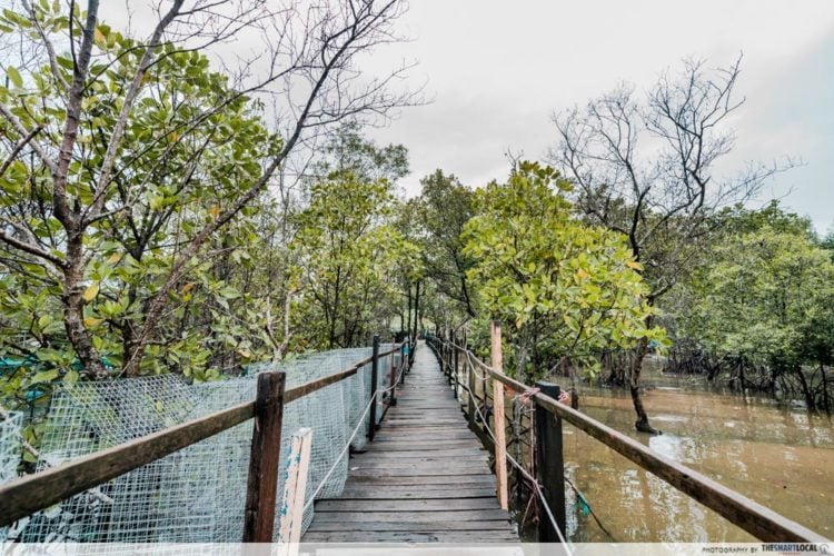 An Inside Look At Jenal Jetty, Singapore’s Last Fishing Village