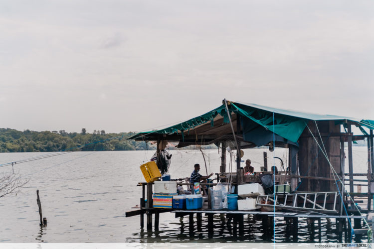 An Inside Look At Jenal Jetty, Singapore’s Last Fishing Village