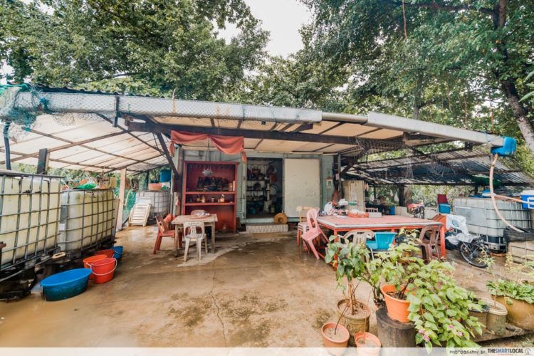 An Inside Look At Jenal Jetty, Singapore’s Last Fishing Village