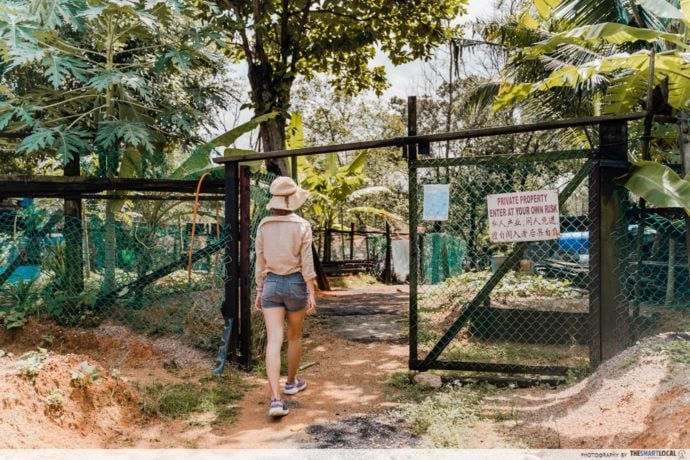 An Inside Look At Jenal Jetty, Singapore’s Last Fishing Village