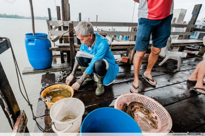 An Inside Look At Jenal Jetty, Singapore’s Last Fishing Village