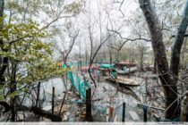 An Inside Look At Jenal Jetty, Singapore’s Last Fishing Village