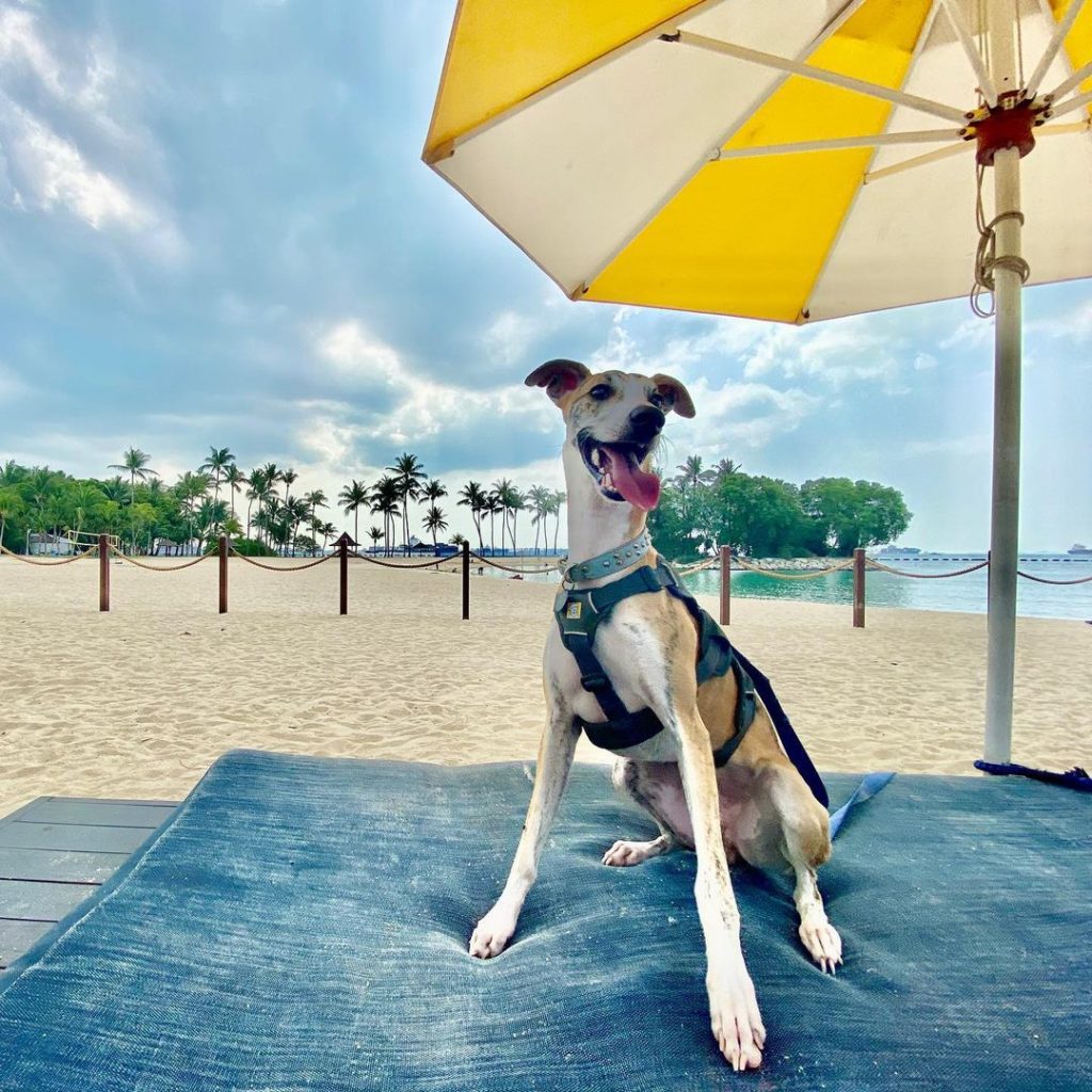 Tanjong Beach Club: “Best” Beach Club In Sentosa
