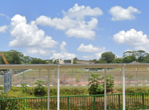 View Road Hospital: Singapore’s Other Abandoned Hospital