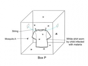 6 Hardest PSLE English, Math & Science Questions In Singapore
