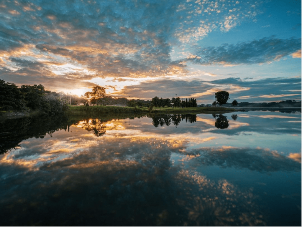 Lower Seletar Reservoir: Singapore's Lesser-Known Park In The North