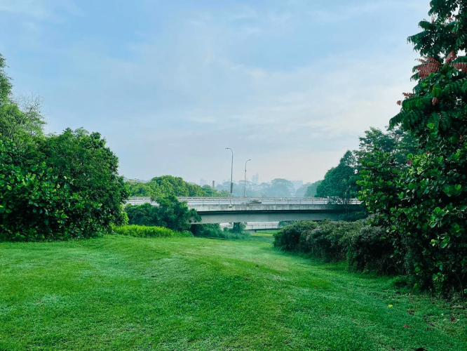 Pipeline Trail: 10KM Hiking Trail That Traces Singapore's Water Supply