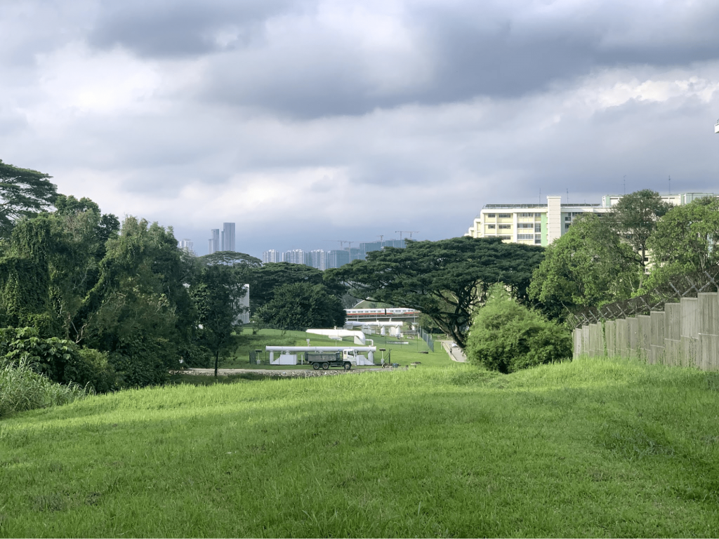 Pipeline Trail: 10KM Hiking Trail That Traces Singapore's Water Supply