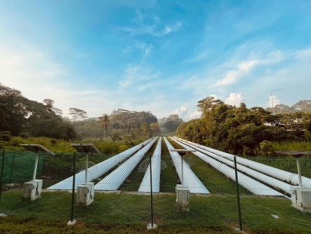 Pipeline Trail: 10KM Hiking Trail That Traces Singapore's Water Supply
