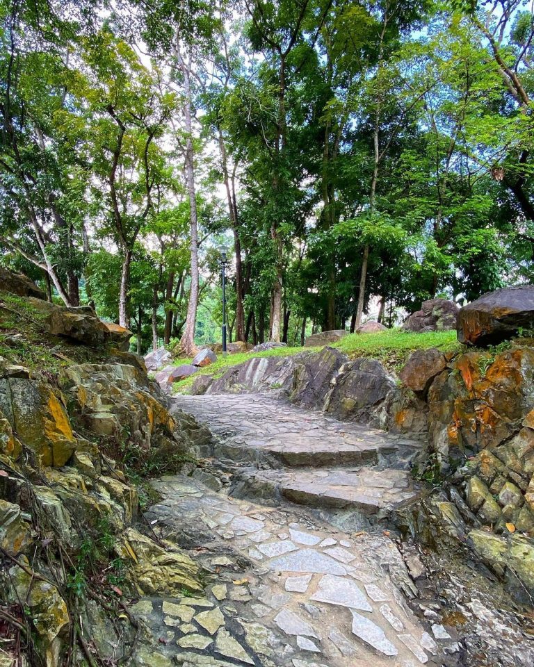 Bukit Batok Town Park - Picturesque Sights 8-Minutes From The MRT