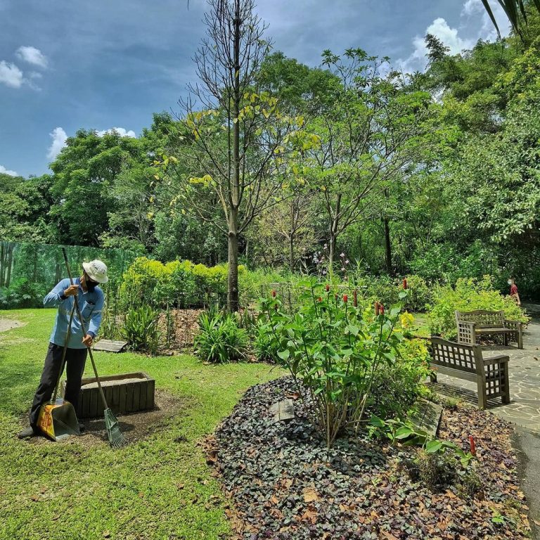 Jacob Ballas Children’s Garden: Nature-themed Park For Kids With Maze ...