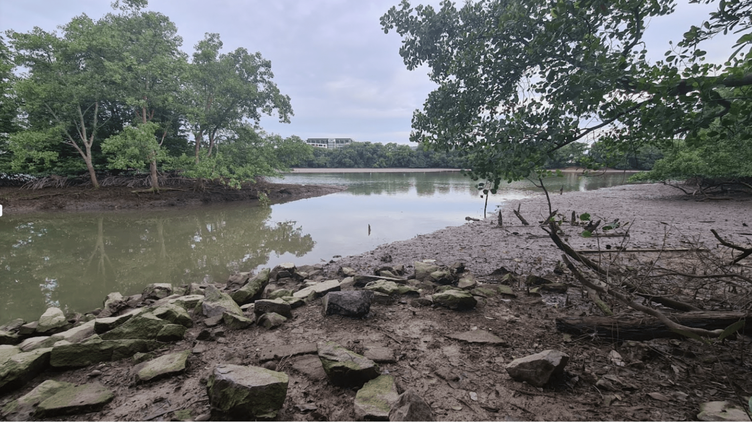 Pandan Reservoir: Quiet Park Near Jurong Lake Gardens With Running Loop