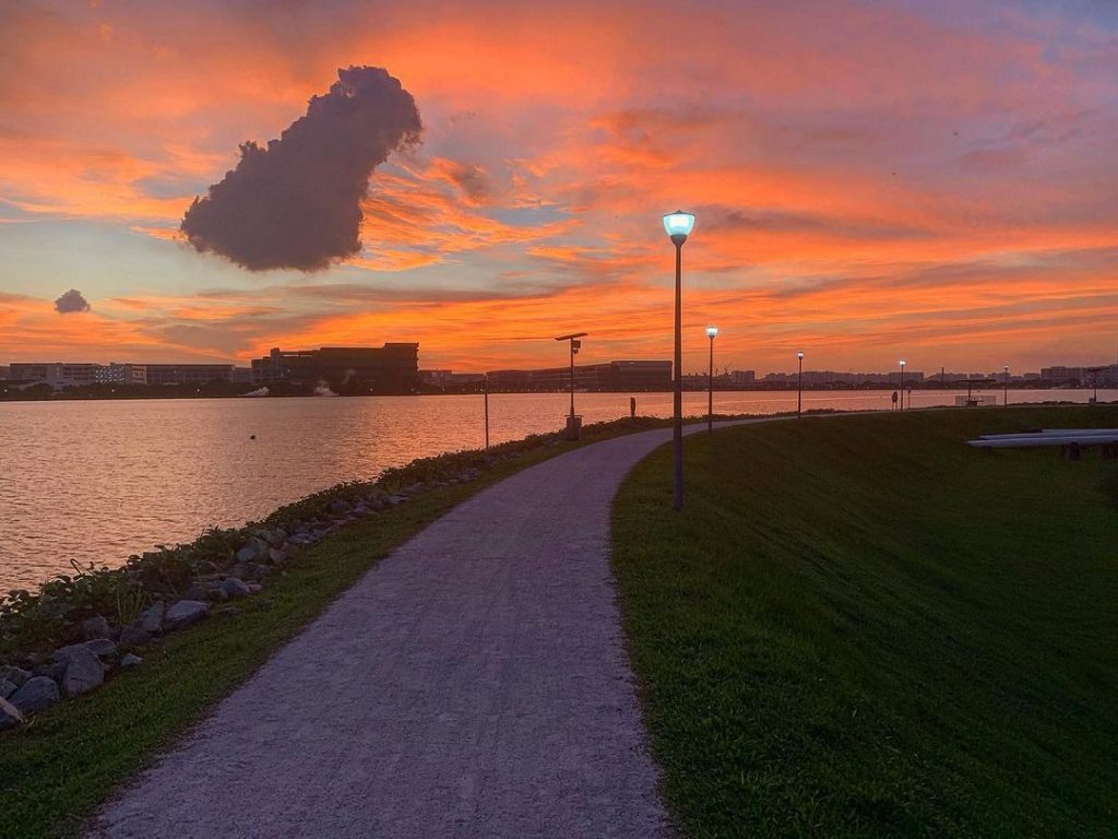 Pandan Reservoir: Quiet Park Near Jurong Lake Gardens With Running Loop