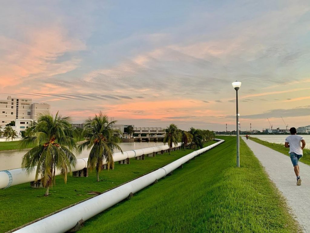 Pandan Reservoir: Quiet Park Near Jurong Lake Gardens With Running Loop