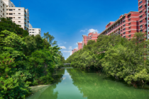 I Went Ghost Hunting At Pasir Ris Park's Most Haunted Spots