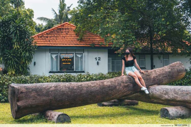 Guide To Seletar Aerospace Park For Plane Spotting & Countryside Vibes