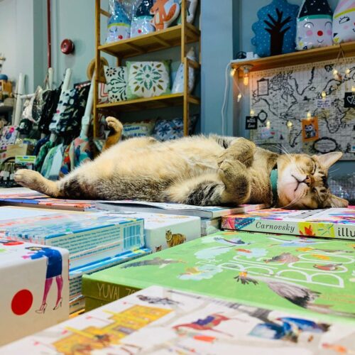 Cat Socrates: Cosy Gift Store With Knick-Knacks & Kitty "Shopkeepers"