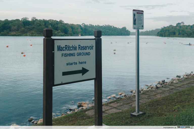 10 Things To Do At MacRitchie Reservoir Park [2024]