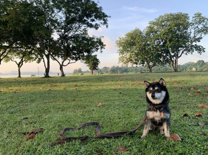Kranji Reservoir Park: Former Battle Site With Fishing & Nature Spots