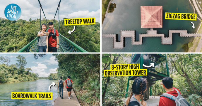 11 Things To Do At MacRitchie Reservoir Now That TreeTop Walk Is Open
