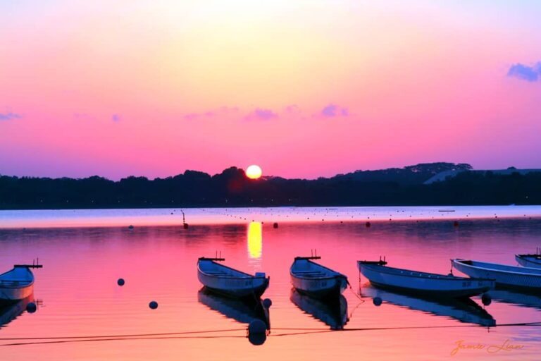 Bedok Neighbourhood Guide: Hidden & Low-Key Attractions To Visit