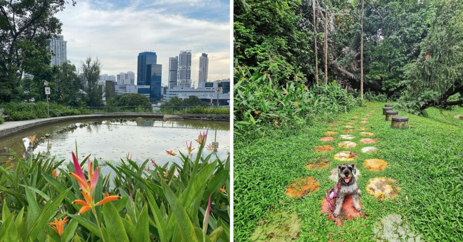 Pearl’s Hill: A Forgotten Enclave With Nature Spots & Unique Architecture