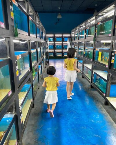 Qian Hu Fish Farm: Affordable Longkang Fishing & Fish Spa In CCK