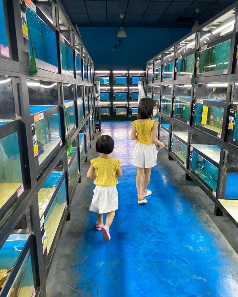 Qian Hu Fish Farm: Affordable Longkang Fishing & Fish Spa In CCK