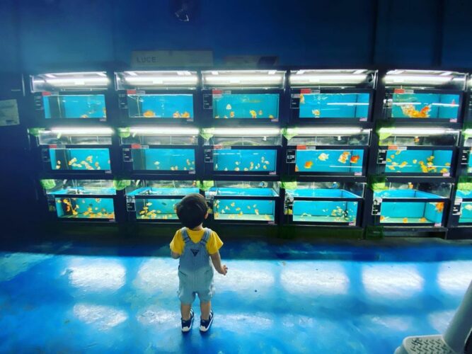 Qian Hu Fish Farm: Affordable Longkang Fishing & Fish Spa In CCK