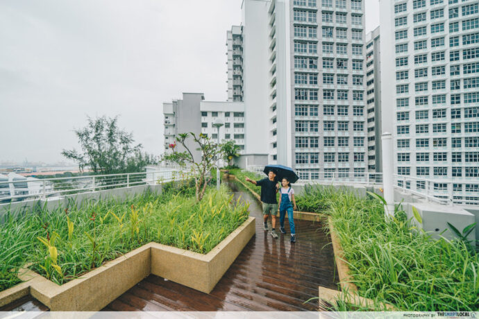 11 Pretty HDB Rooftop Gardens In Singapore's Heartlands