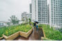 11 Pretty HDB Rooftop Gardens In Singapore's Heartlands