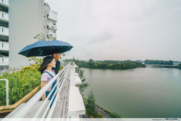 11 Pretty HDB Rooftop Gardens In Singapore's Heartlands
