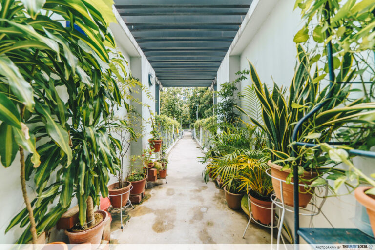 11 Pretty HDB Rooftop Gardens In Singapore's Heartlands