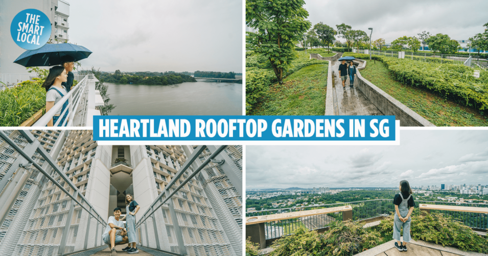 11 Pretty HDB Rooftop Gardens In Singapore's Heartlands