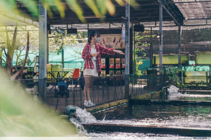 12 Lesser-Known Things To Do In Pasir Ris