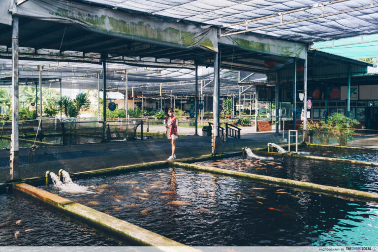 12 Lesser-Known Things To Do In Pasir Ris