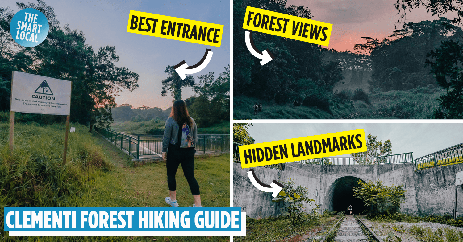 Clementi Forest Guide - How To Get There And Hiking Tips
