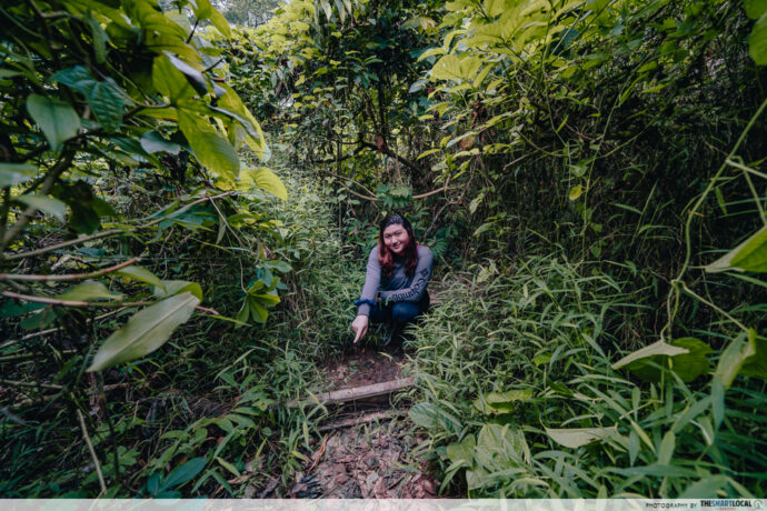 Clementi Forest Guide - How To Get There And Hiking Tips