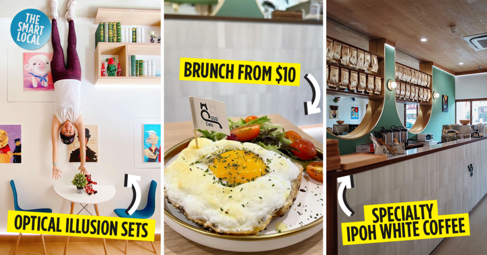 What The Pug Is Singapore's First Pug "Cafe", Located On Haji Lane