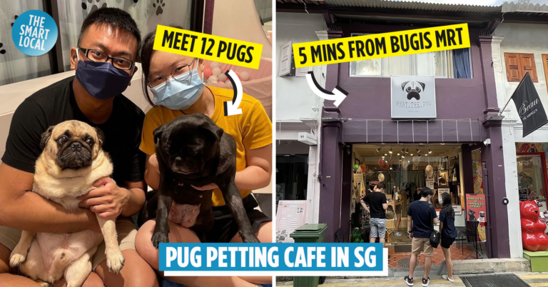 What The Pug Is Singapore's First Pug "Cafe", Located On Haji Lane