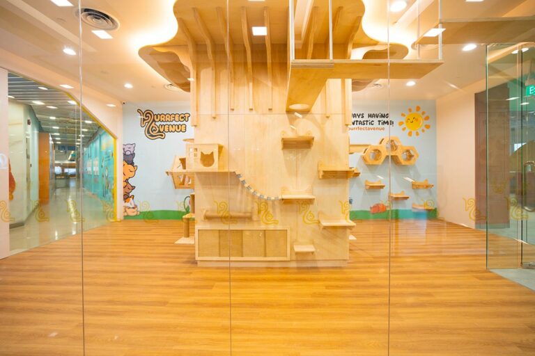 The Polliwogs: New Indoor Playground In Clarke Quay