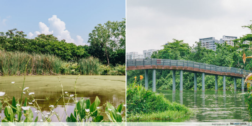 18 Free Running Tracks In Singapore To Get Your Cardio In Check