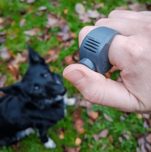 Secret Dog Training Hacks For Stubborn Dogs