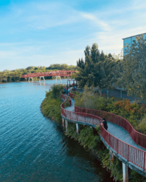 Round Island Route Guide: 11 Best Spots To Visit